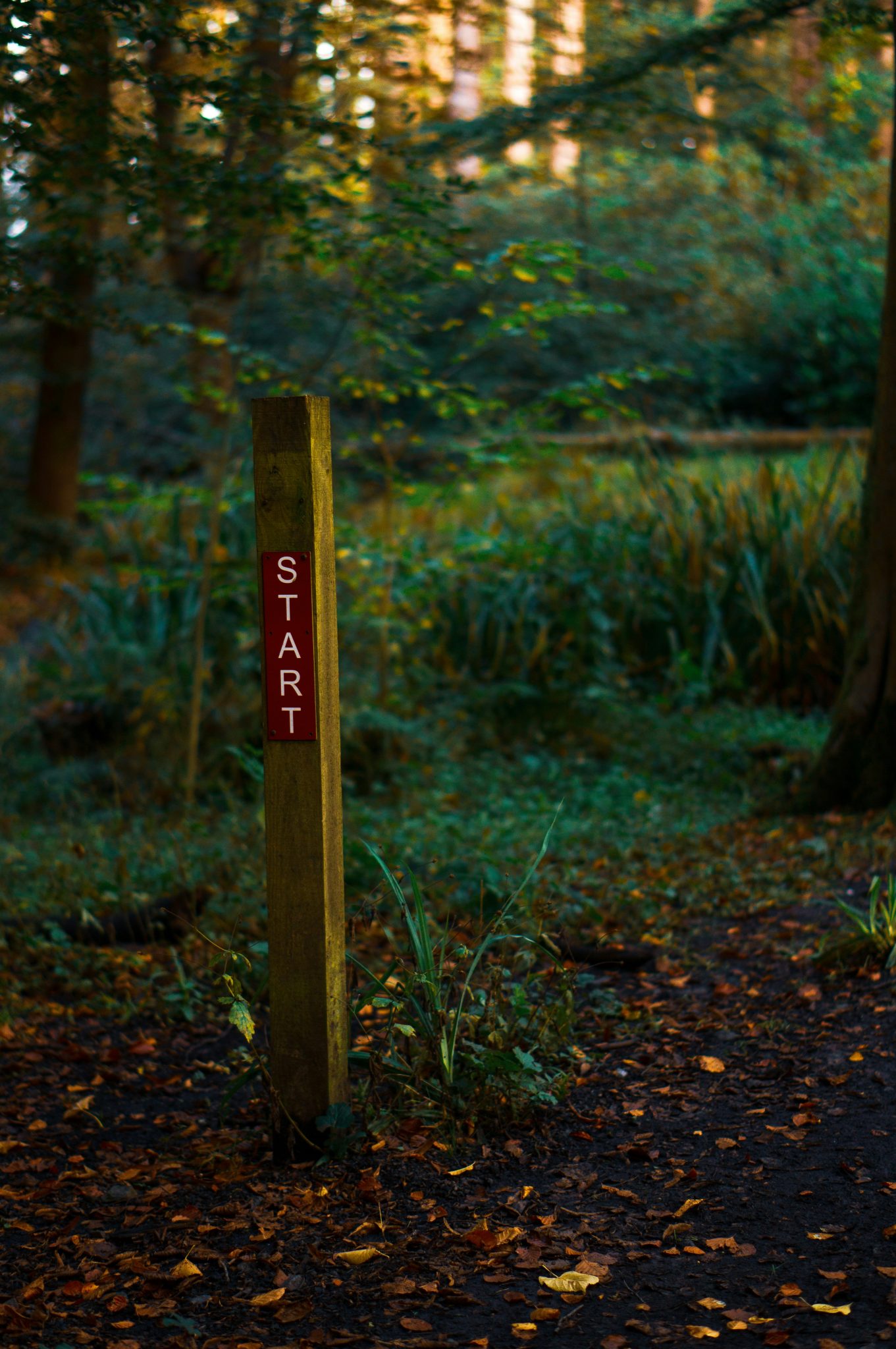 A Fresh Start Doesn’t Mean Starting Over - Psychotherapist, Marriage ...